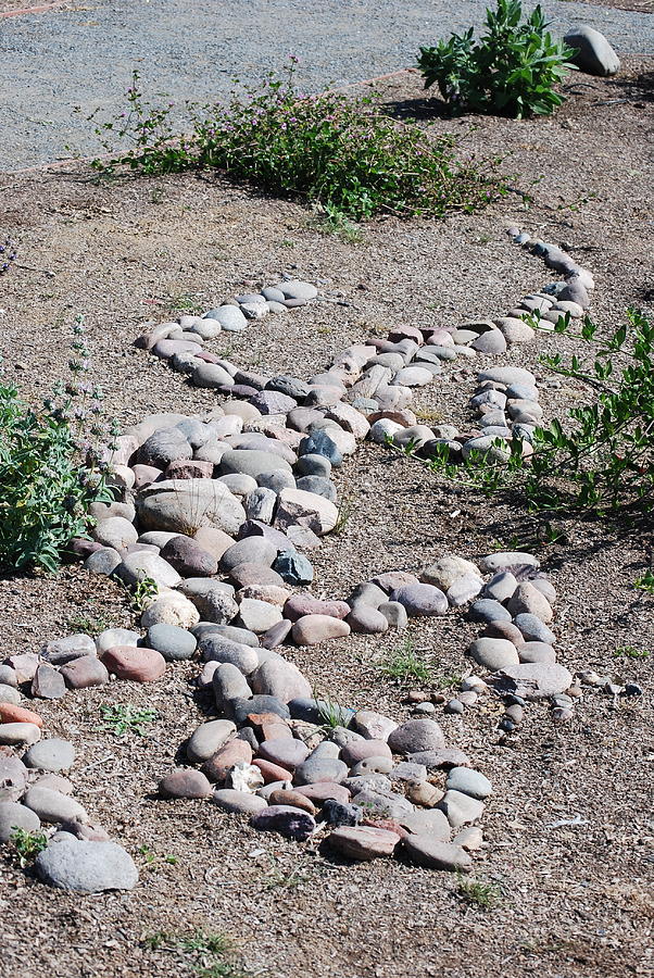 Lizard rock... Photograph by Michael Young - Fine Art America