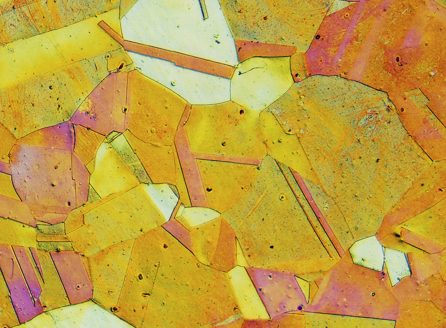Lm Of Thin Section Of Brass Photograph by Astrid & Hanns-frieder Michler/science Photo Library ...