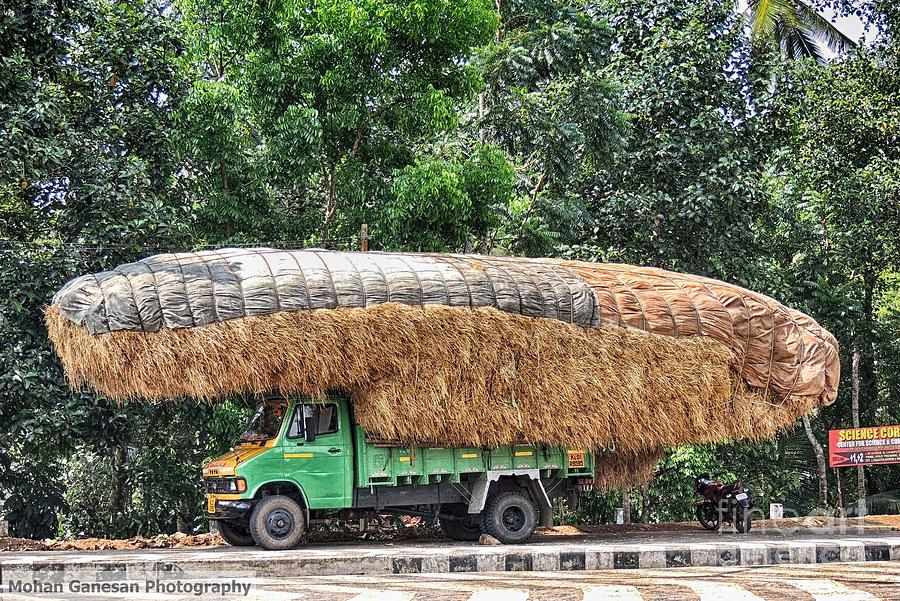 Load Runner Photograph by Mohan Ganesan - Pixels