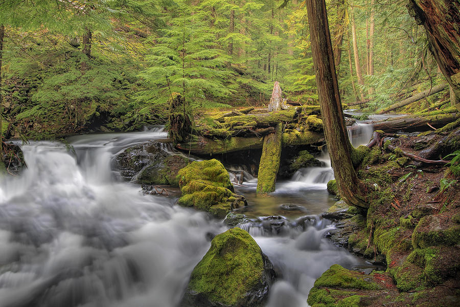Log Jam Photograph by David Gn - Pixels