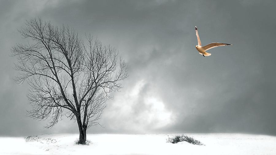 Lonely Digital Art by Abram Van Eijk - Fine Art America