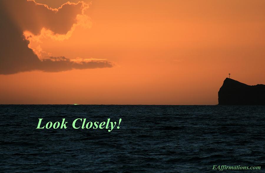 Look Closely Photograph by Pharaoh Martin - Fine Art America