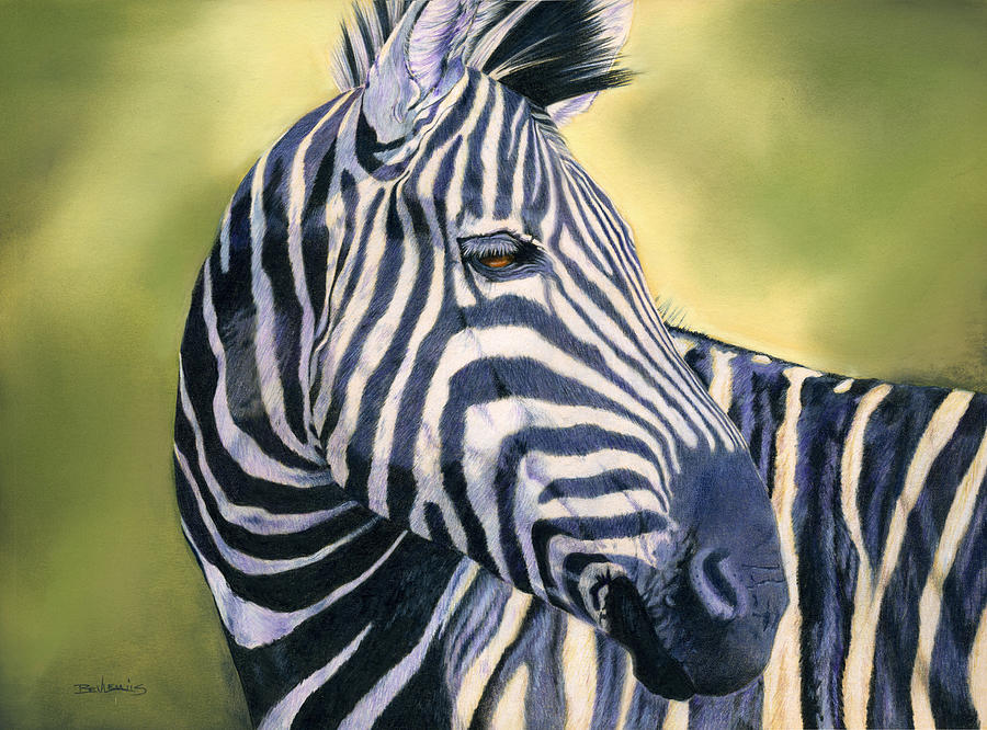 Looking Back Pastel by Bev Lewis - Fine Art America
