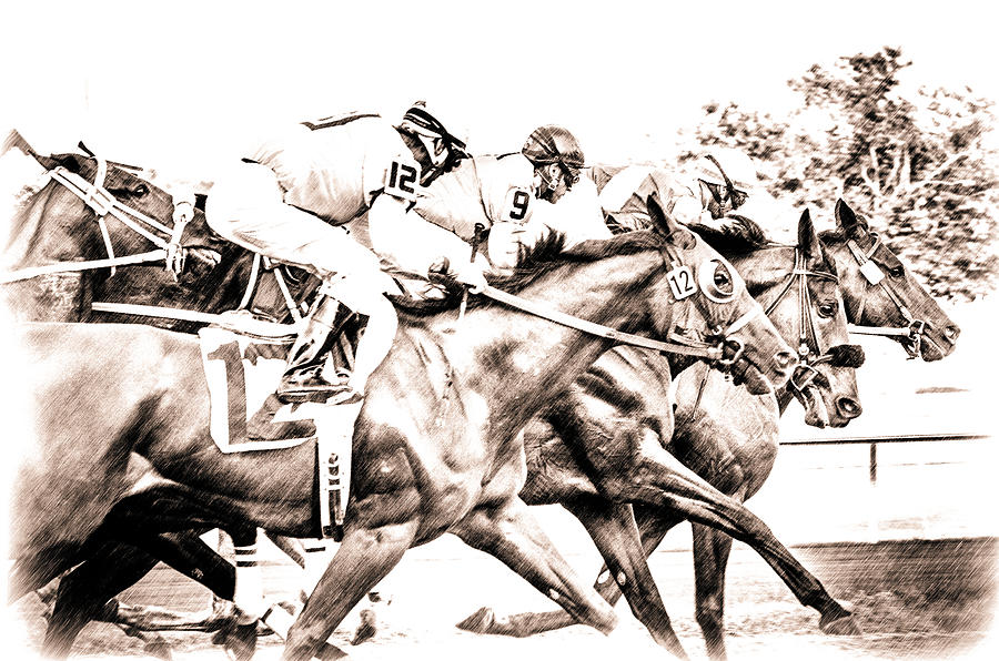 Looking for the Win Photograph by Ted Griffith - Fine Art America