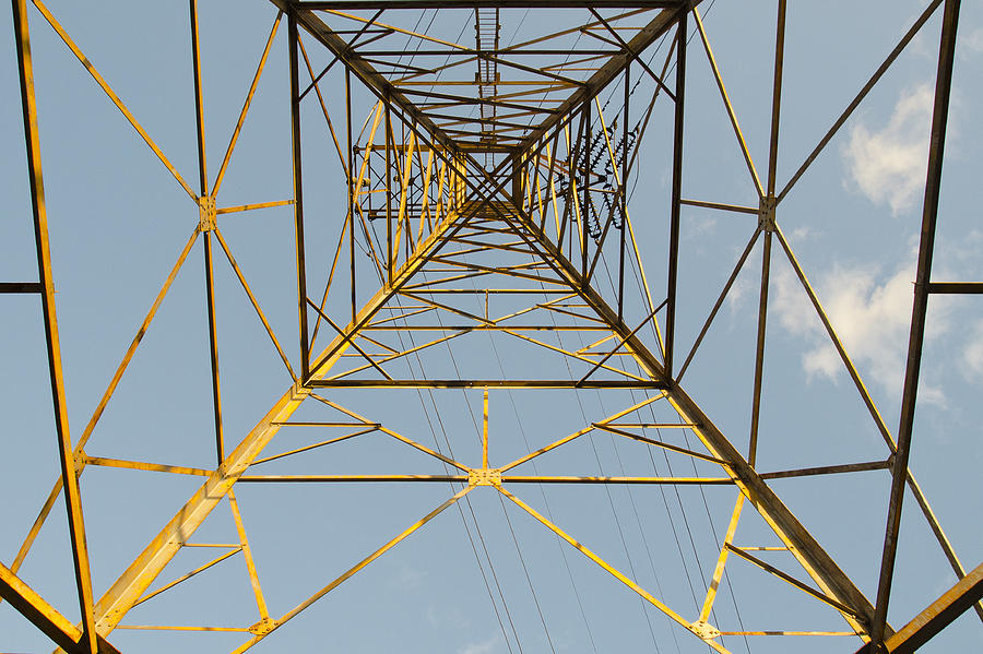 Looking Up Photograph by Gerald Andersen - Fine Art America