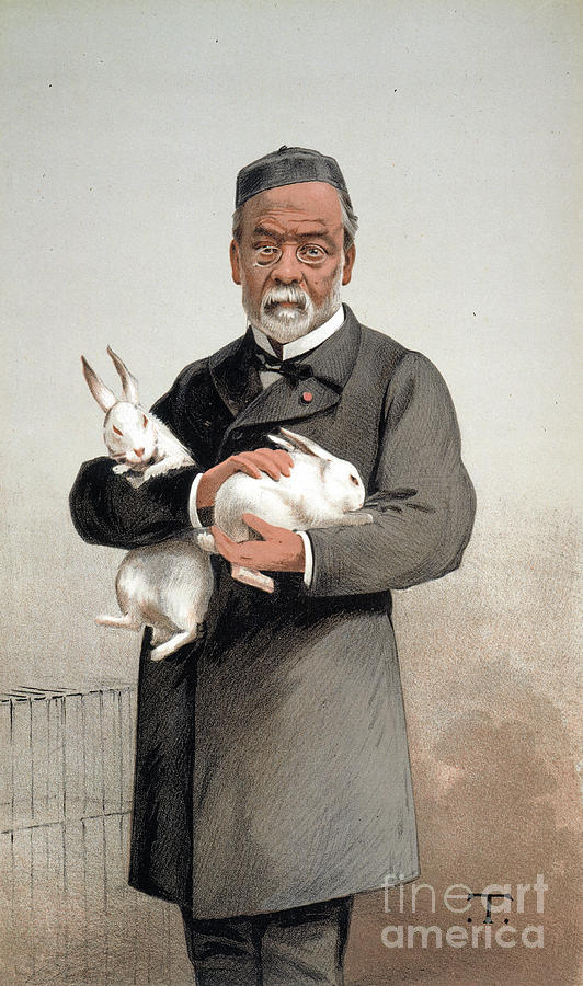 Louis Pasteur Drawing by Granger - Fine Art America