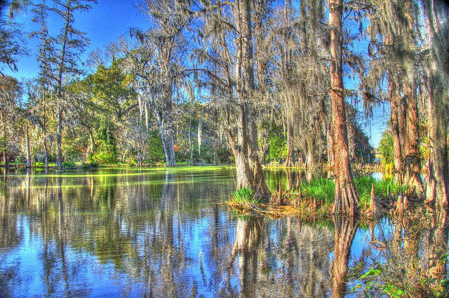 Low Country Reflections Photograph by John Handfield - Fine Art America