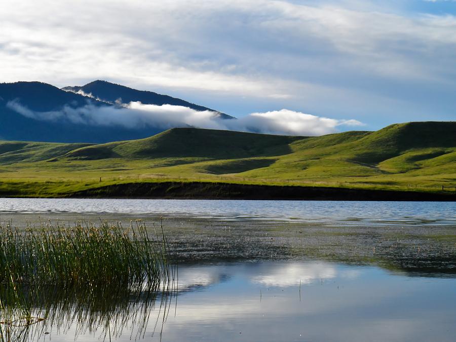 Low Flyers Photograph by Edward Shaffer - Fine Art America