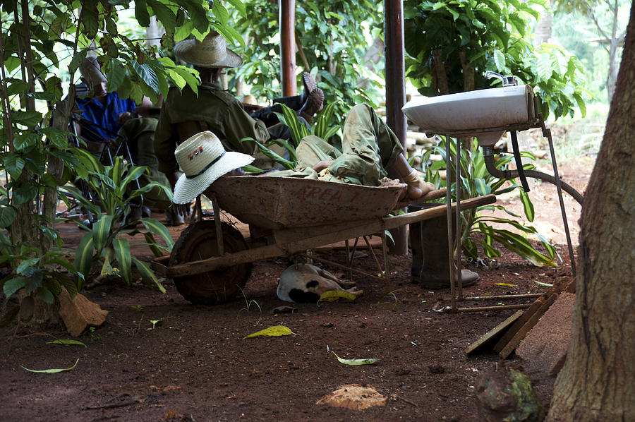 Lunch Time Nap Photograph by Brian Kamprath - Fine Art America