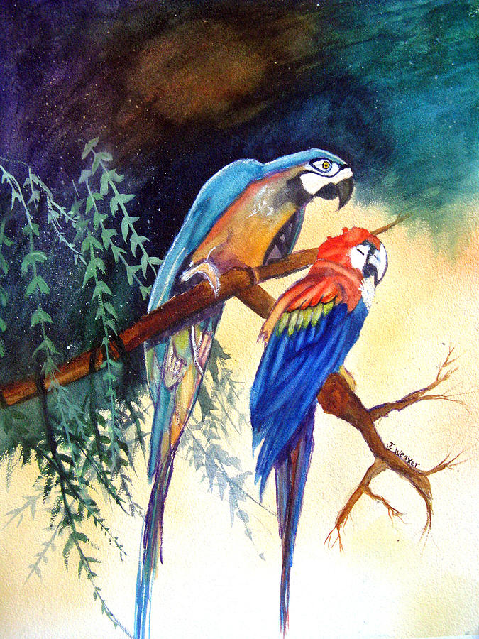 Macaws Painting by June Weaver - Fine Art America