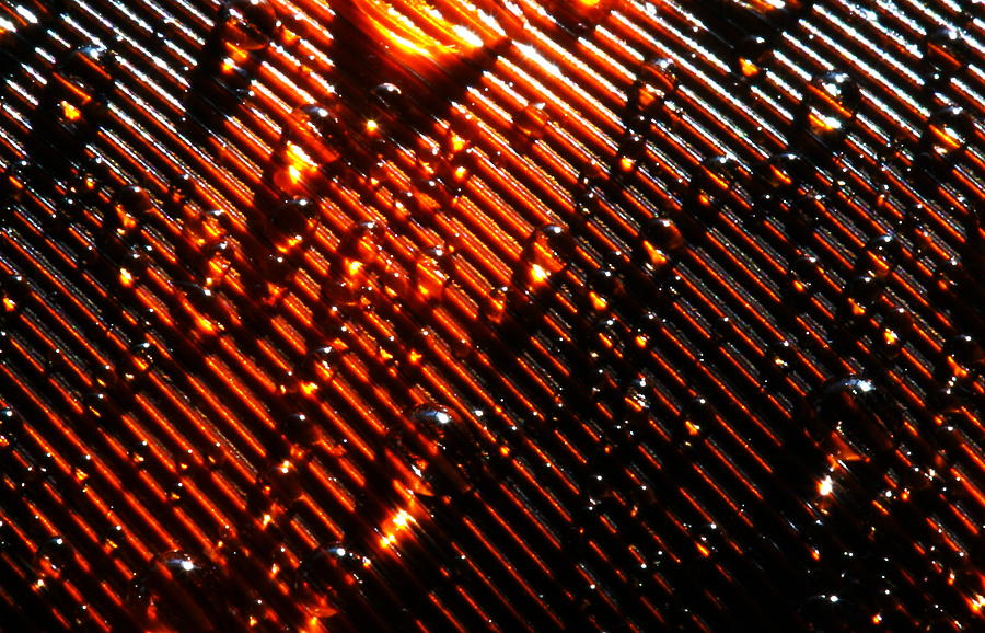 Macro Drops Photograph by Peter Feo - Fine Art America