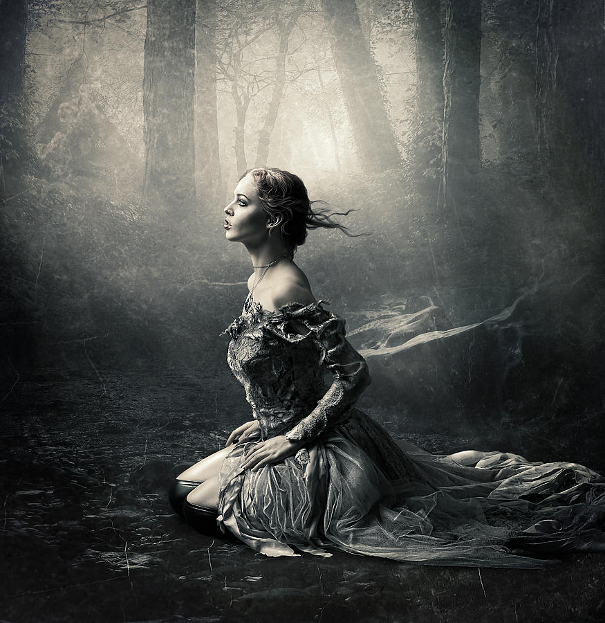 Magic Light Photograph by Cindy Grundsten - Fine Art America