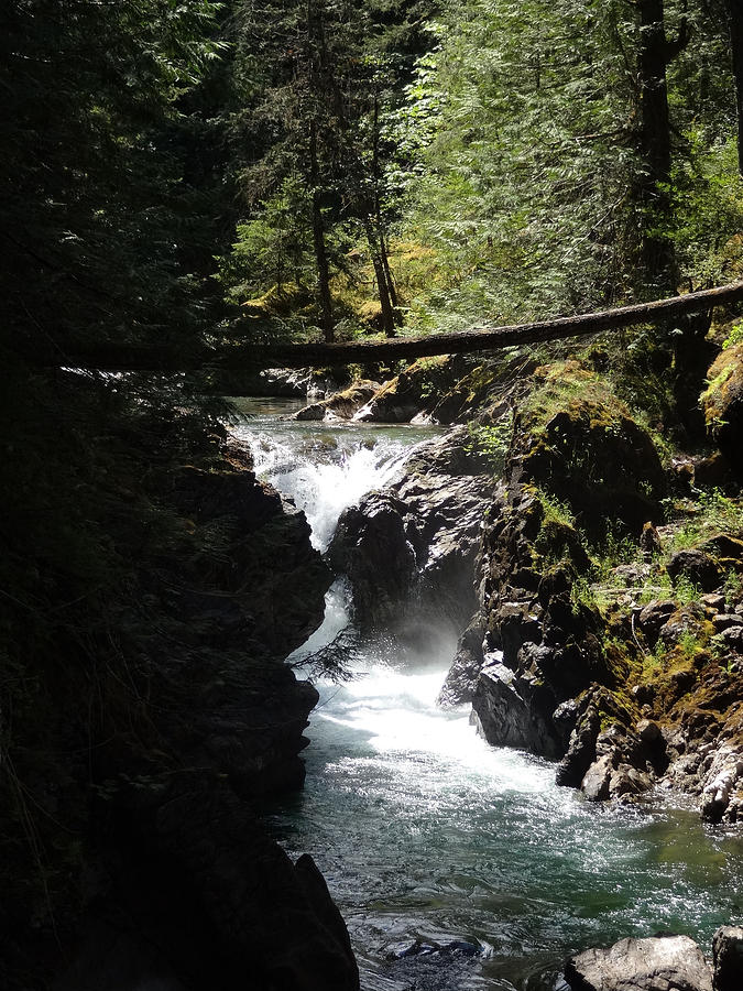 Magic light Photograph by Michael Schutte - Fine Art America