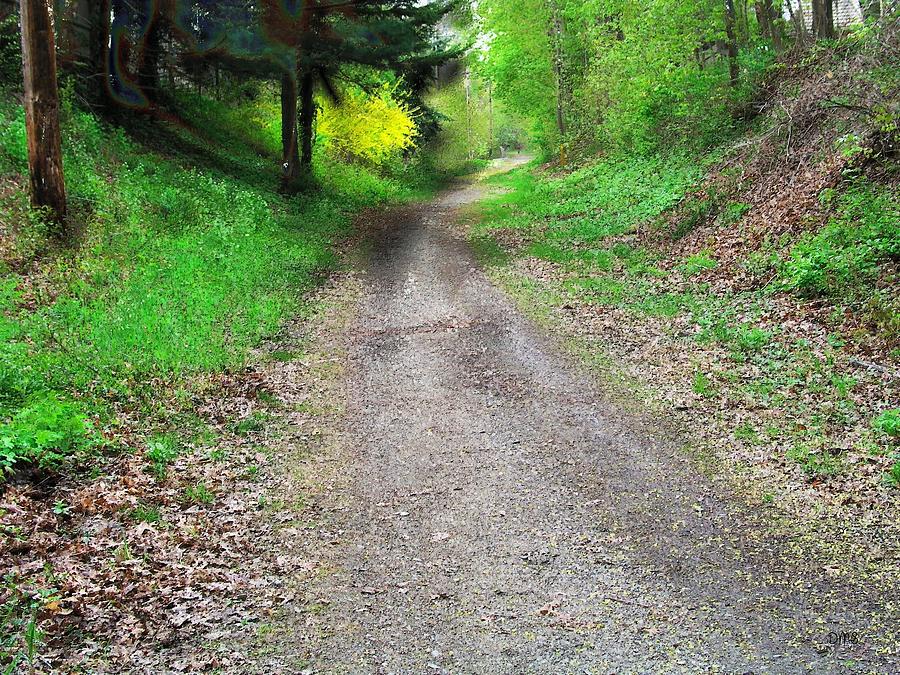 Magic Path Digital Art by David Schneider - Fine Art America