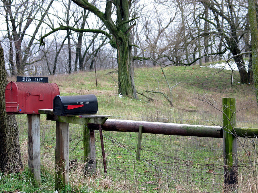 Mail Photograph by Shelly Butler - Fine Art America