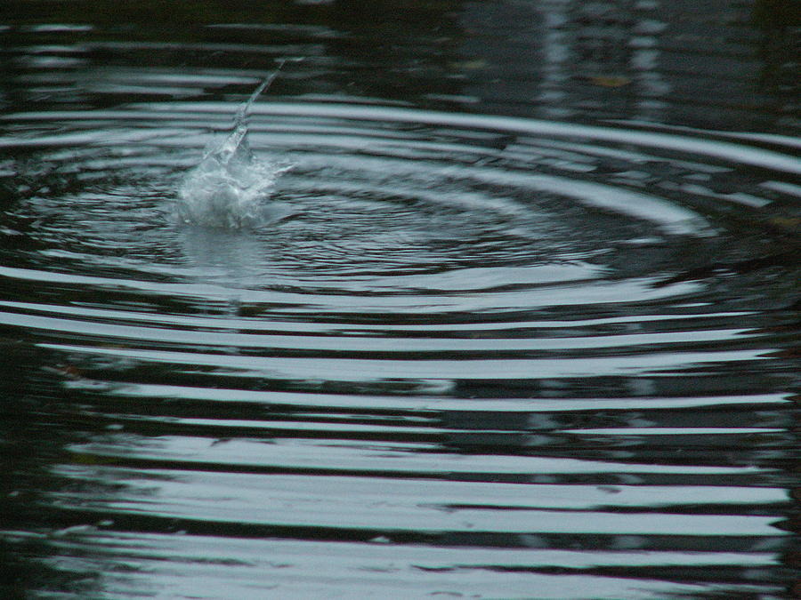 Make a Splash Photograph by Toni Ryder - Fine Art America