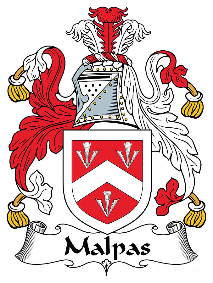 Malpas Coat Of Arms Irish Digital Art By Heraldry Pixels