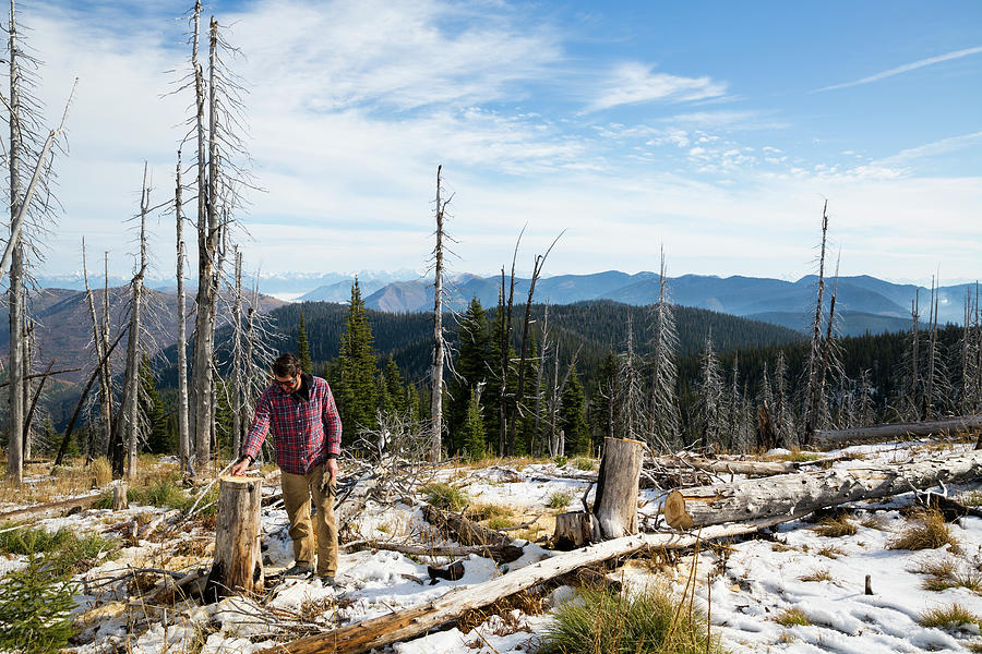Man Cut Down A Dead Tree Using Chainsaw Photograph by Craig Moore - Pixels