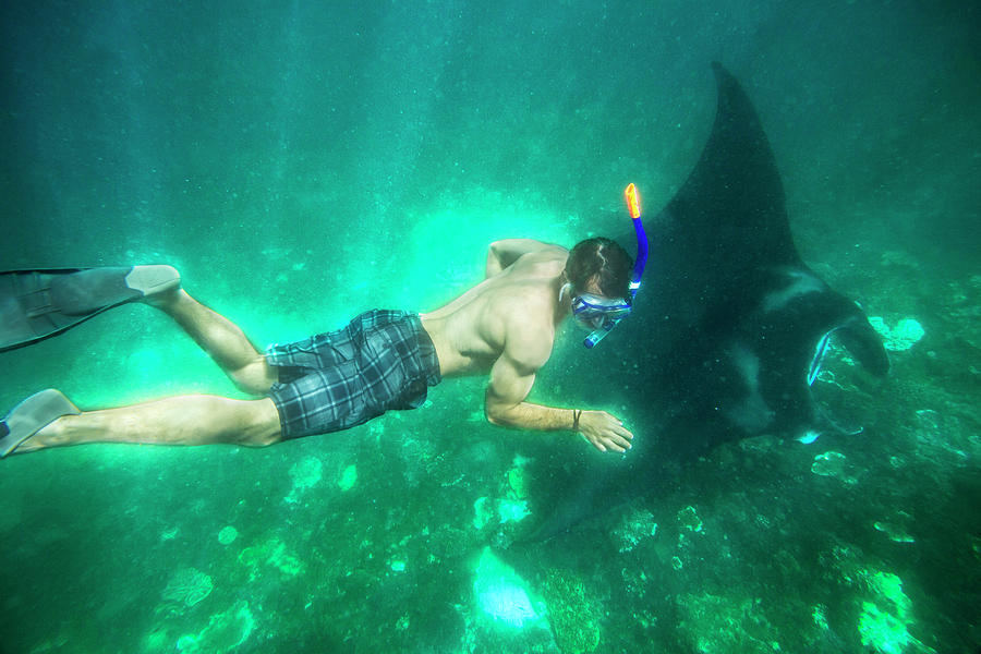Man Swimming With Manta In The Ocean Photograph by Konstantin Trubavin - Fine Art America