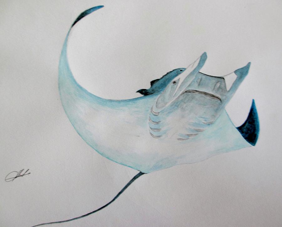 Manta-devil Ray Painting by Jack Bol - Pixels