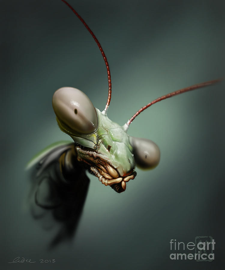 Mantis Digital Art by Andre Koekemoer - Pixels