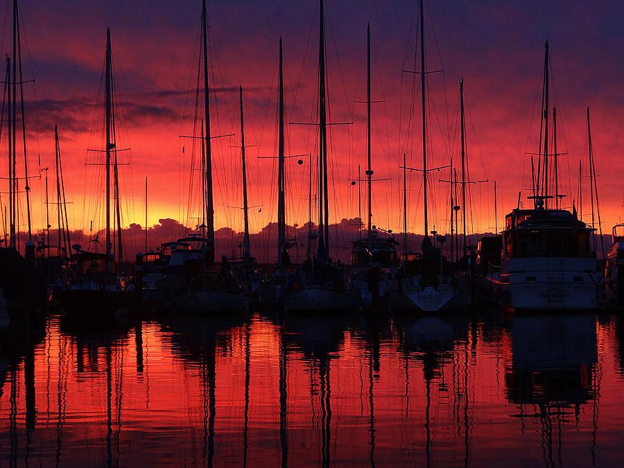 Marina Sunset Photograph by Wayne Broadhead - Fine Art America