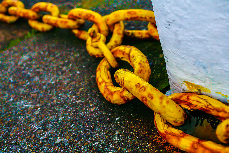 Marine Chain Photograph by Tad Daa | Fine Art America