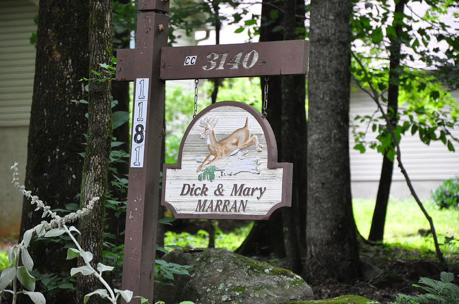 Marran Photograph by David Dittmann - Fine Art America