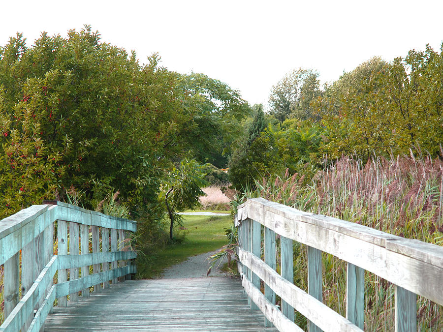 Marsh Bridge One Photograph by Barbara McDevitt - Fine Art America