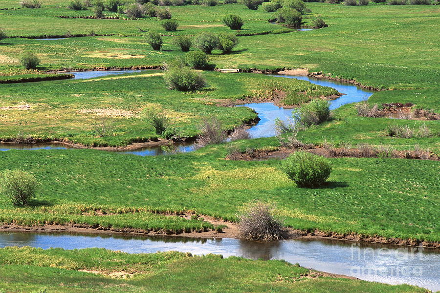 Meander Photograph by Chris Selby - Fine Art America
