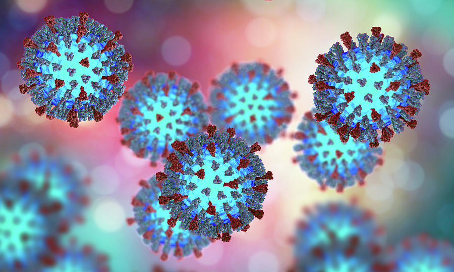 Measles Virus Photograph by Kateryna Kon/science Photo Library - Pixels