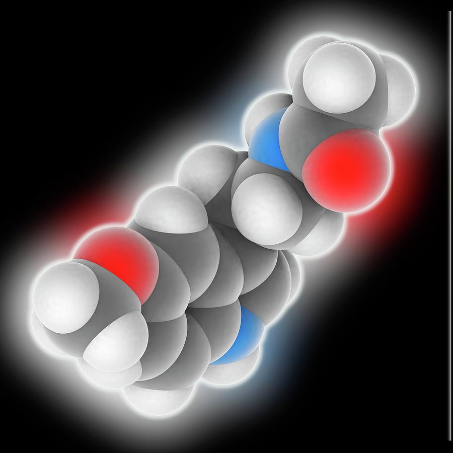 Melatonin Molecule Photograph by Science Photo Library - Pixels Merch