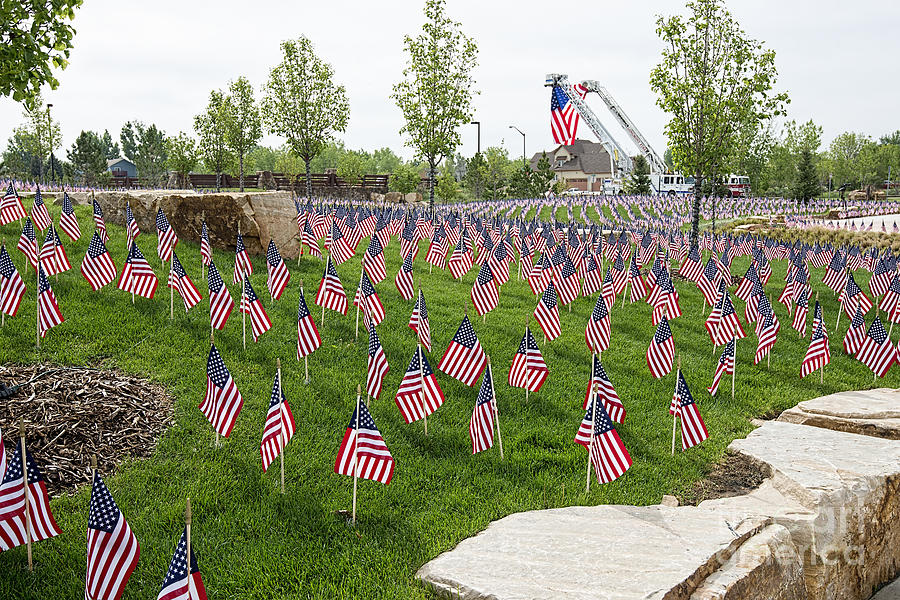 Memorial Flags Photograph by Baywest Imaging - Fine Art America