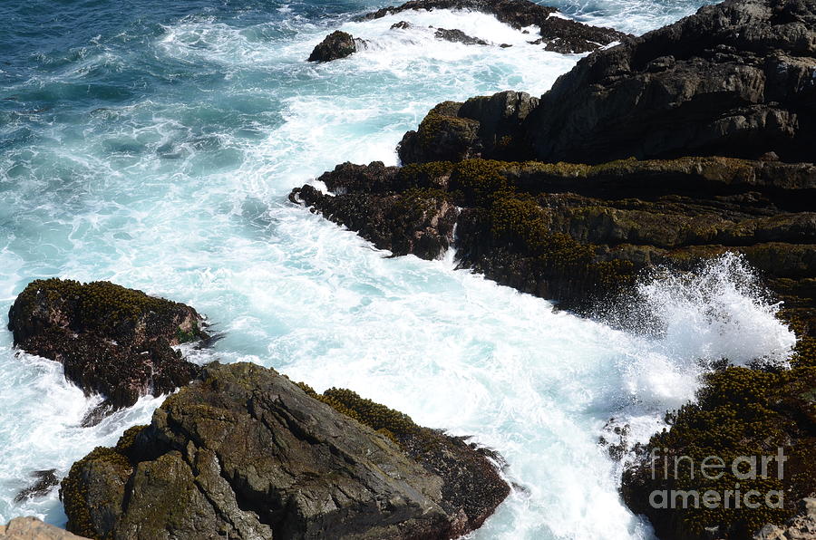 Mendocino Rocks Photograph by Charles Majewski - Fine Art America