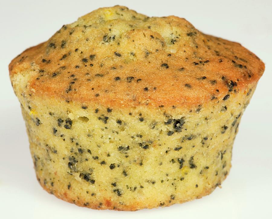 Microalgae Cake Photograph by Pascal Goetgheluck/science Photo Library ...