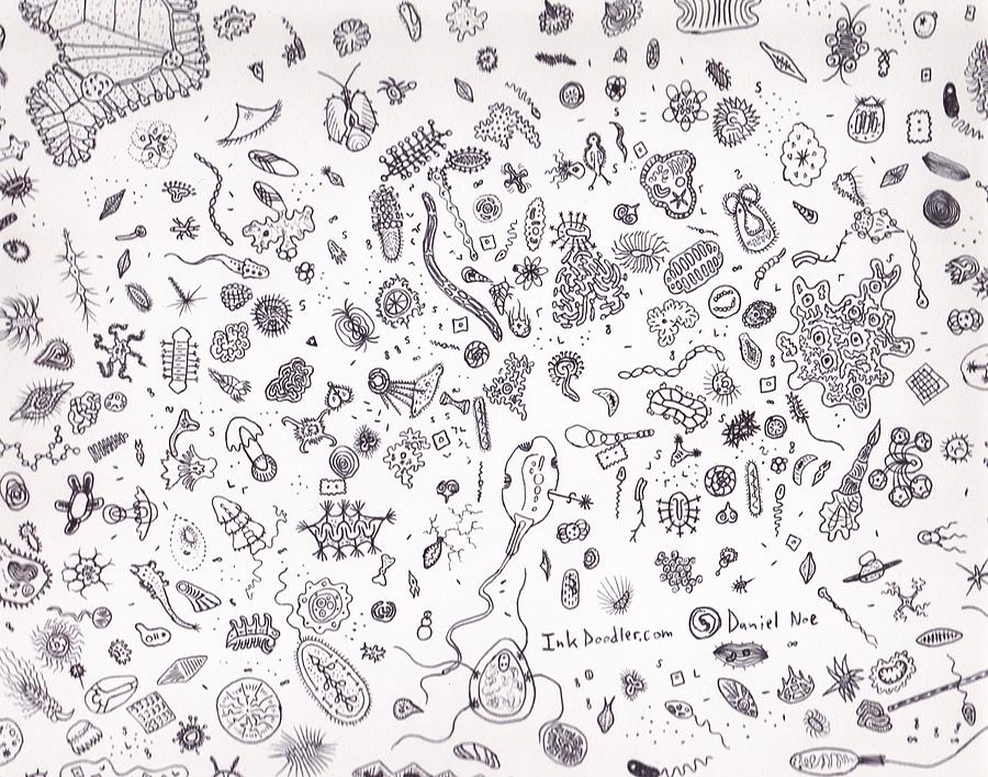 Microbes Drawing by Daniel Noe | Pixels