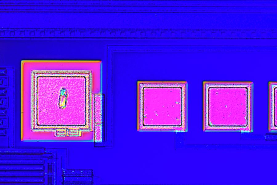 Microchip Photograph by Gerd Guenther/science Photo Library - Fine Art ...