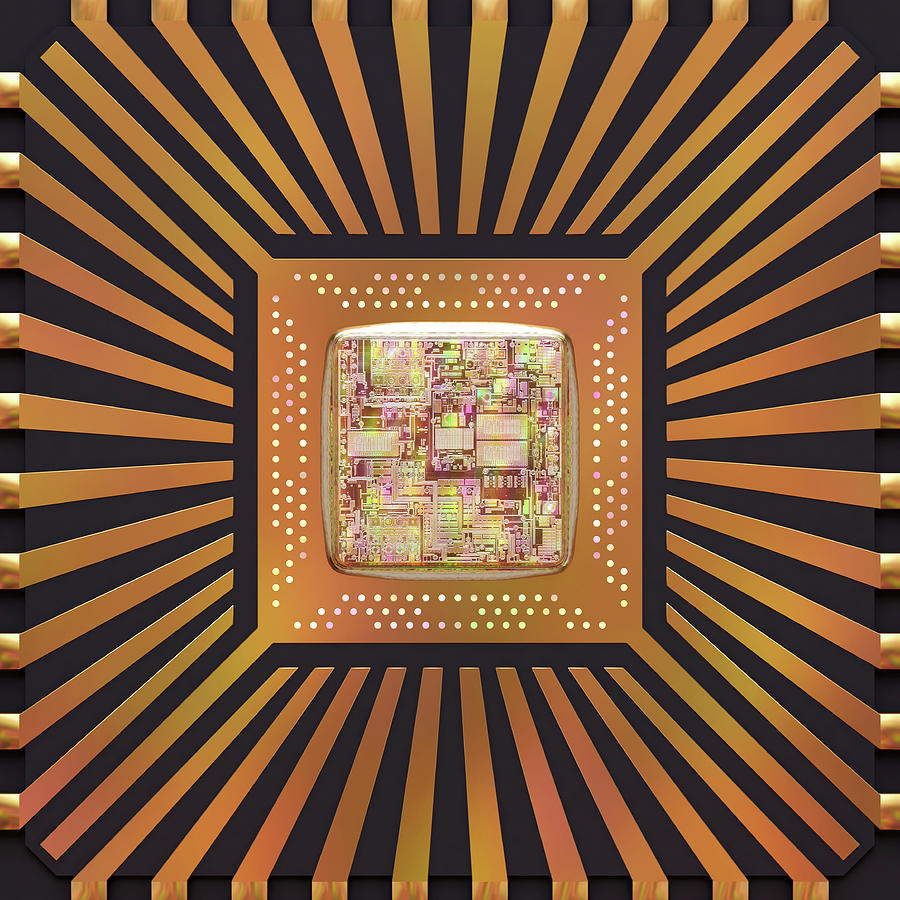 Microchip by Science Photo Library