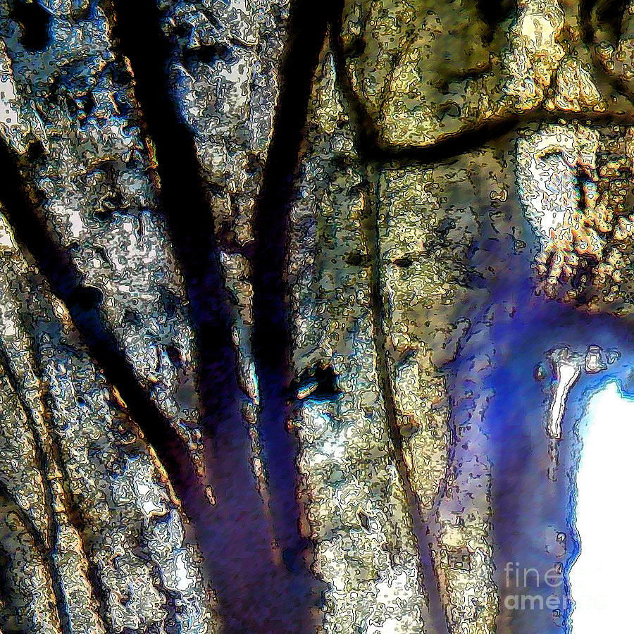 10071 Micro Leaf Photograph by Colin Hunt - Fine Art America