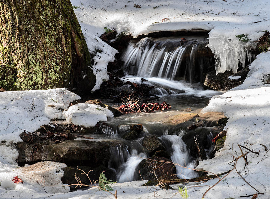 Mini Falls Photograph by Anthony Thomas - Fine Art America