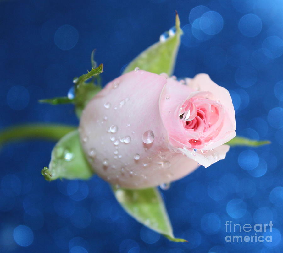 Missing You Photograph By Krissy Katsimbras Fine Art America