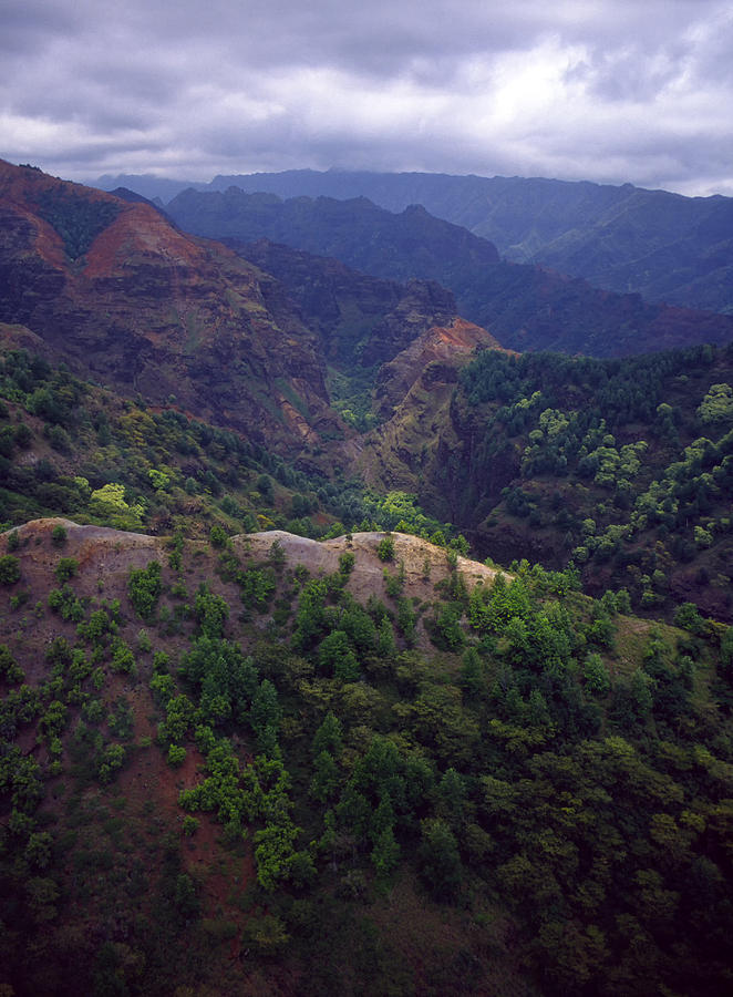 Moody Hanapepe Photograph by Morris McClung - Fine Art America