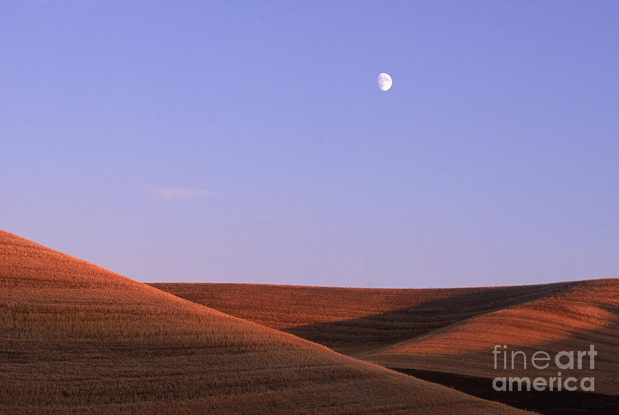 Moon Over Wheat Fields Photograph by Jim Corwin - Fine Art America