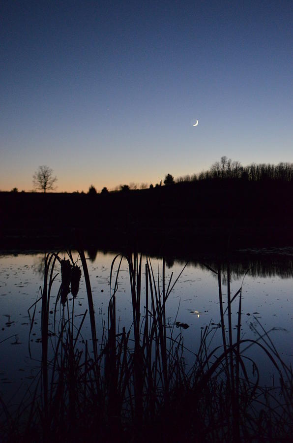 Moon Reflected Photograph by Lisa Thomas | Fine Art America