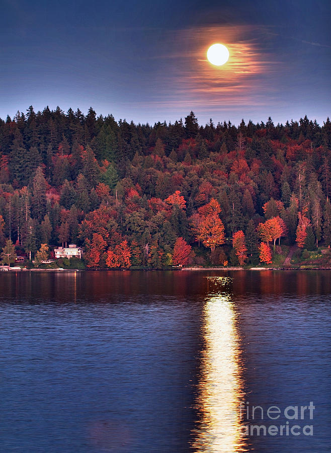 Moon Rising Pyrography by Craig Bartlett - Fine Art America