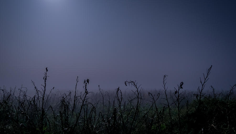 Moonlight Field Photograph by Liquid Metal Lens - Fine Art America