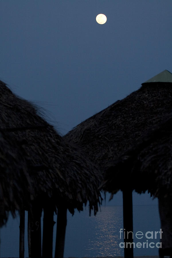 Moonlight in the Pacific Ocean Photograph by Lucas Guardincerri - Fine ...