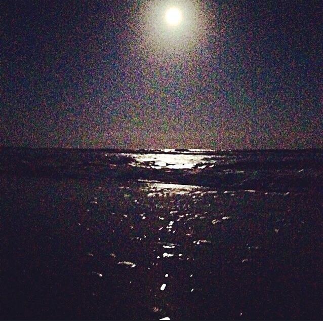 Moonlight Photograph by Isabel Manning - Fine Art America