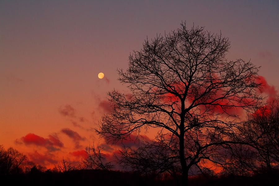 Moonset Photograph by Kathryn Meyer - Fine Art America