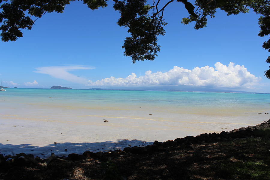 Moorea Photograph by Robert Smith - Fine Art America
